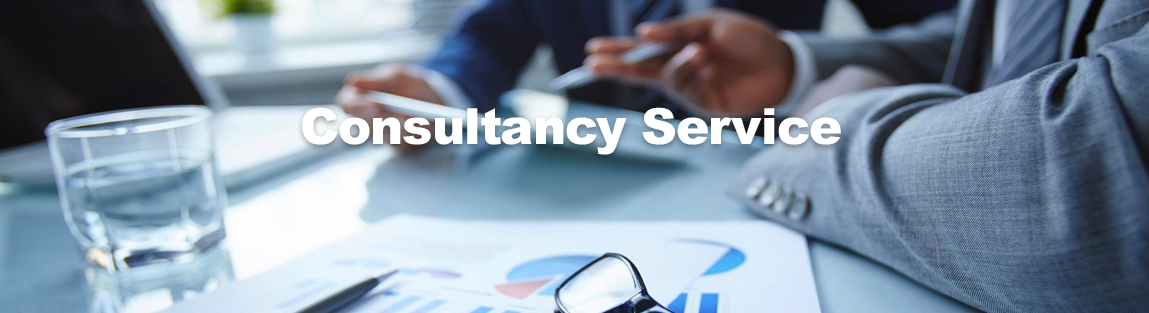 Consultancy Service